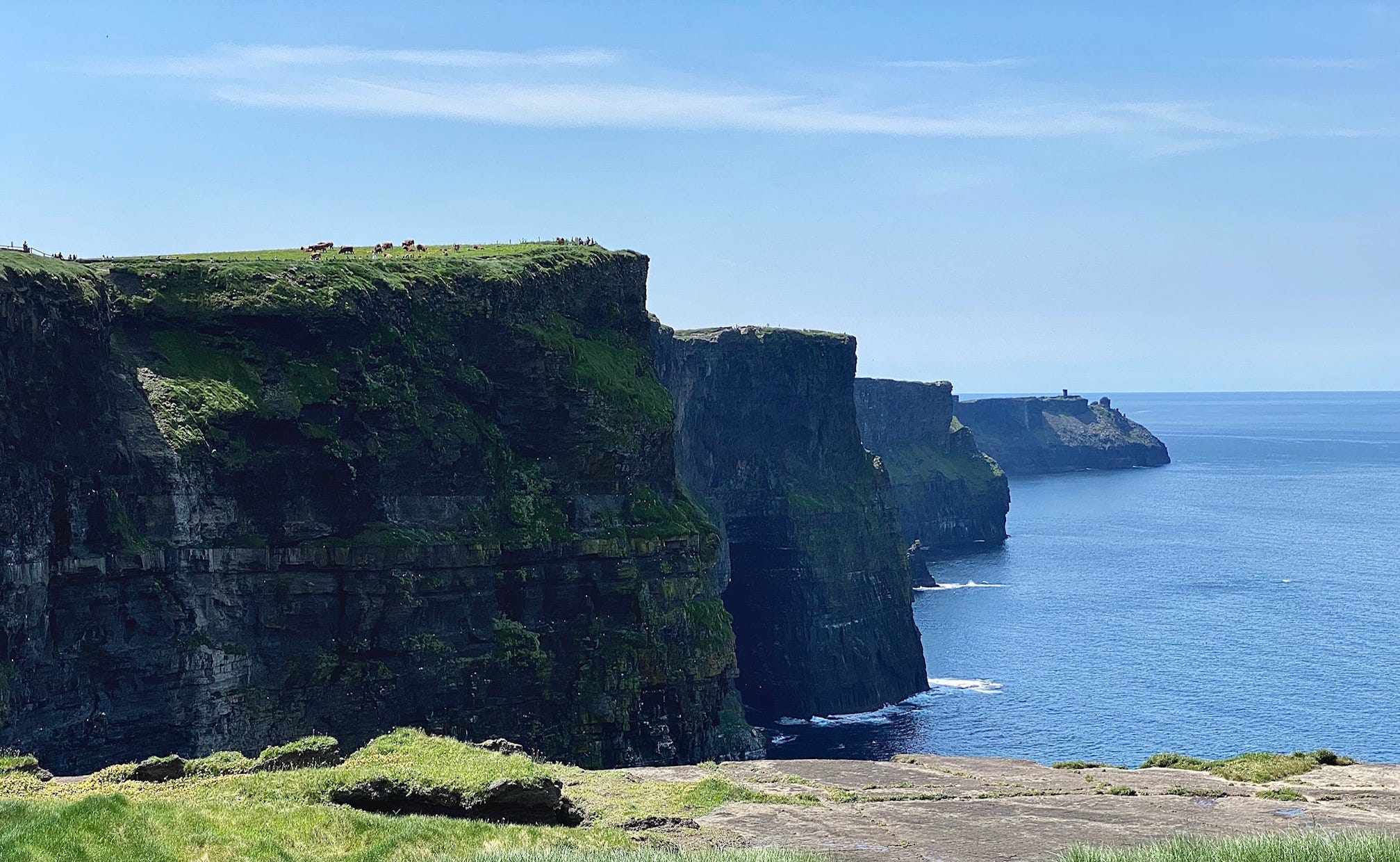 Wednesday 22 May, 2024 - by John Naughton - Memex 1.1