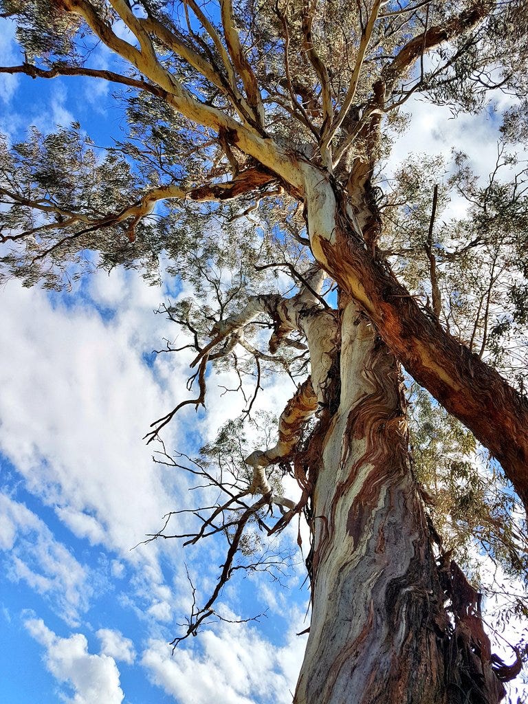 Expecting Easter - Seasons of Community Living