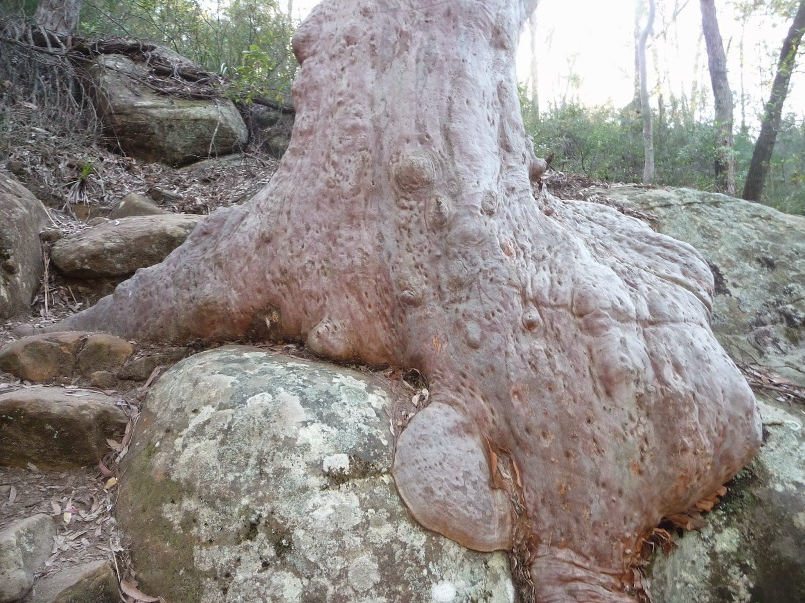 Raising Resilient Children - Carol Hudson’s Substack