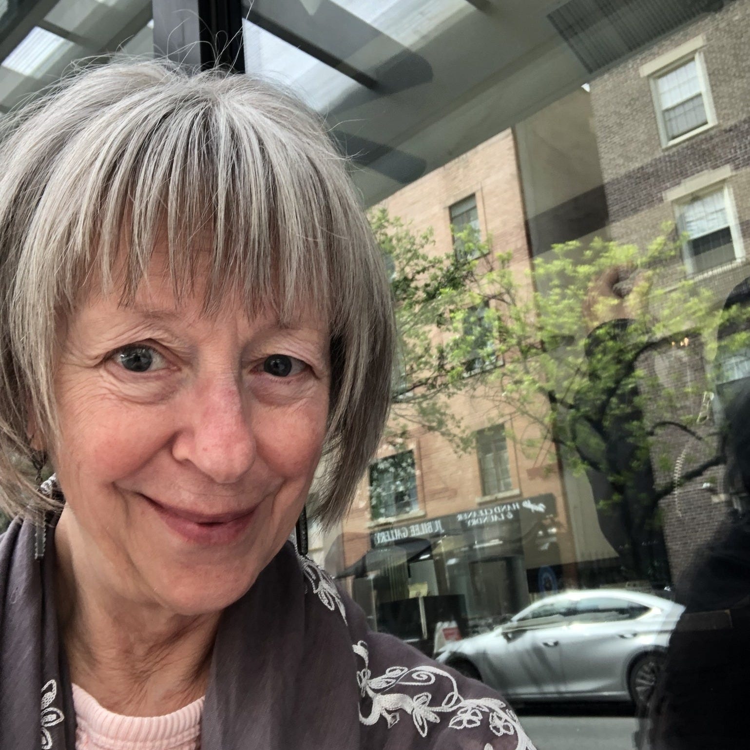 Sue Ann Gleason | Substack