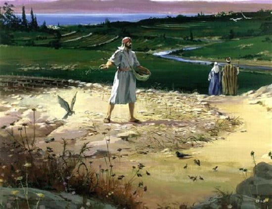 Parable of the soils - by Dan Evers