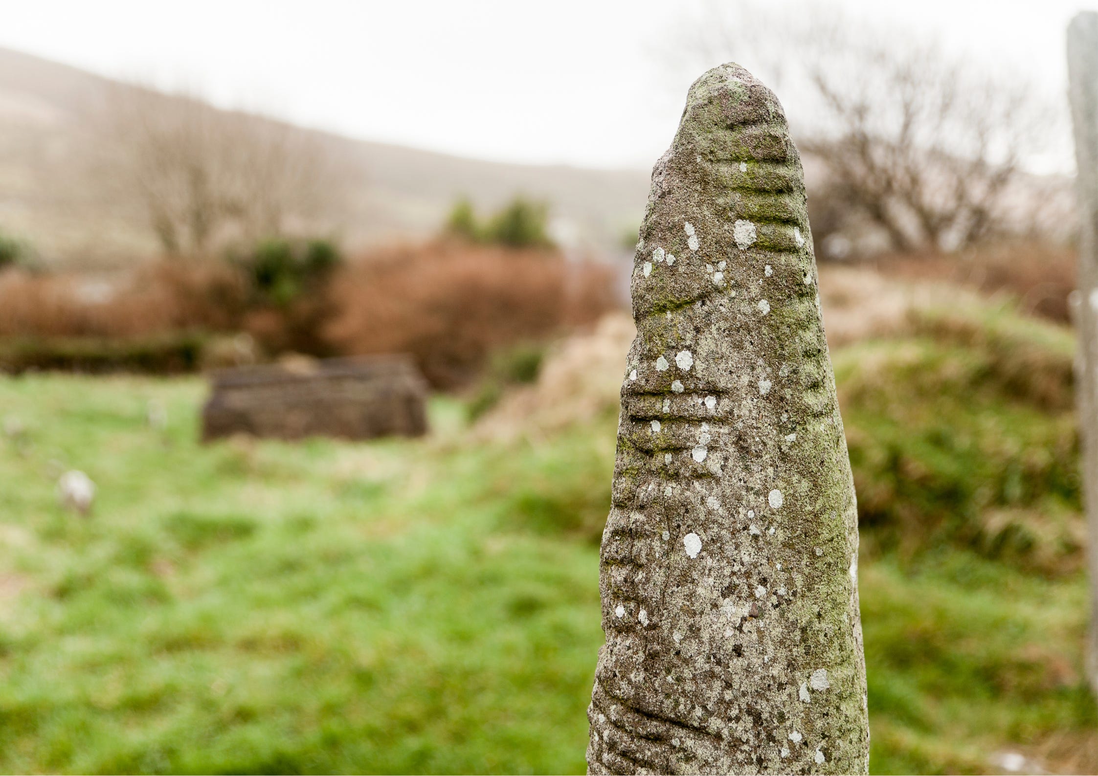 The Ogham and Celtic Tree Calendar - by Samantha Sear
