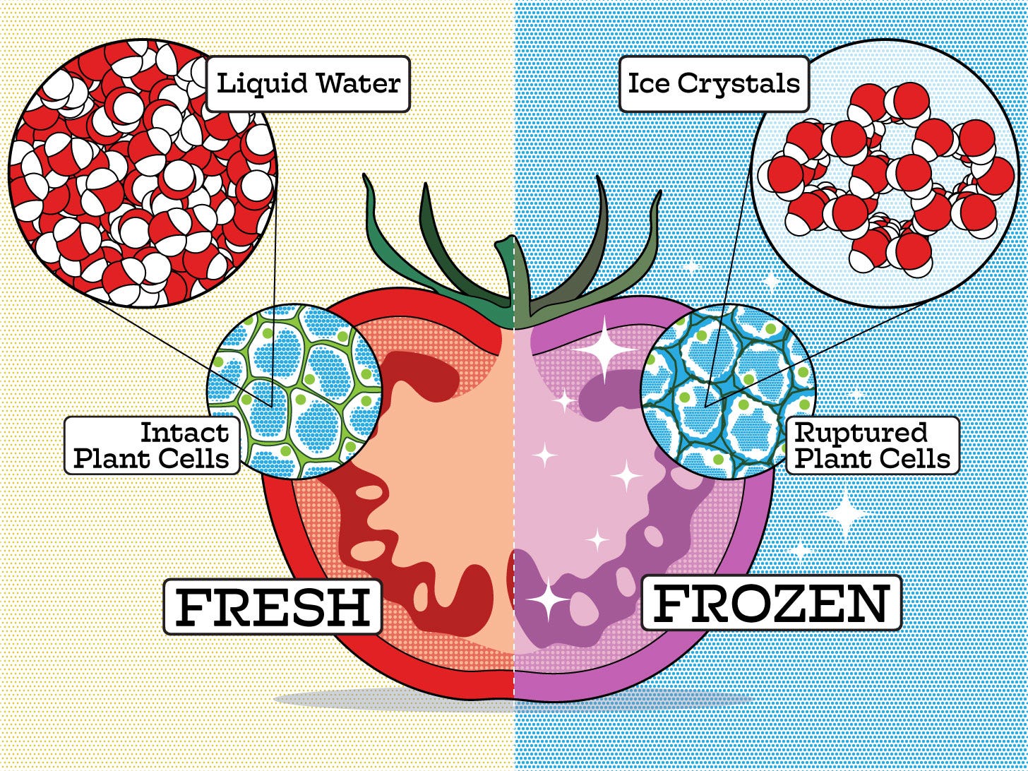 The 3 rules of freezing - by Liza Schoenfein - Cool Beans