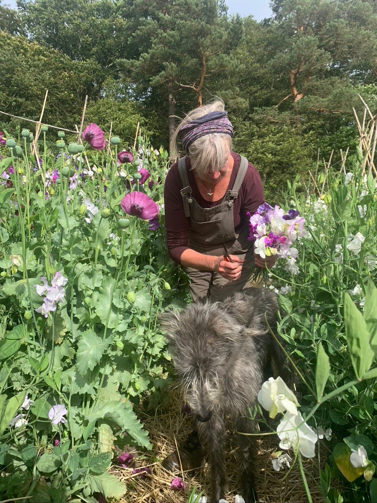Tipping Point - by Caroline Beck - DIRT