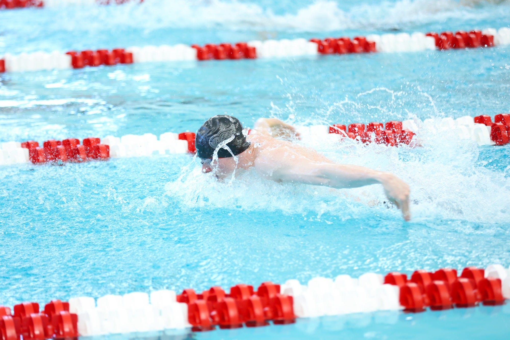 Wentzel Watch: The Final B Cuts - by d3so