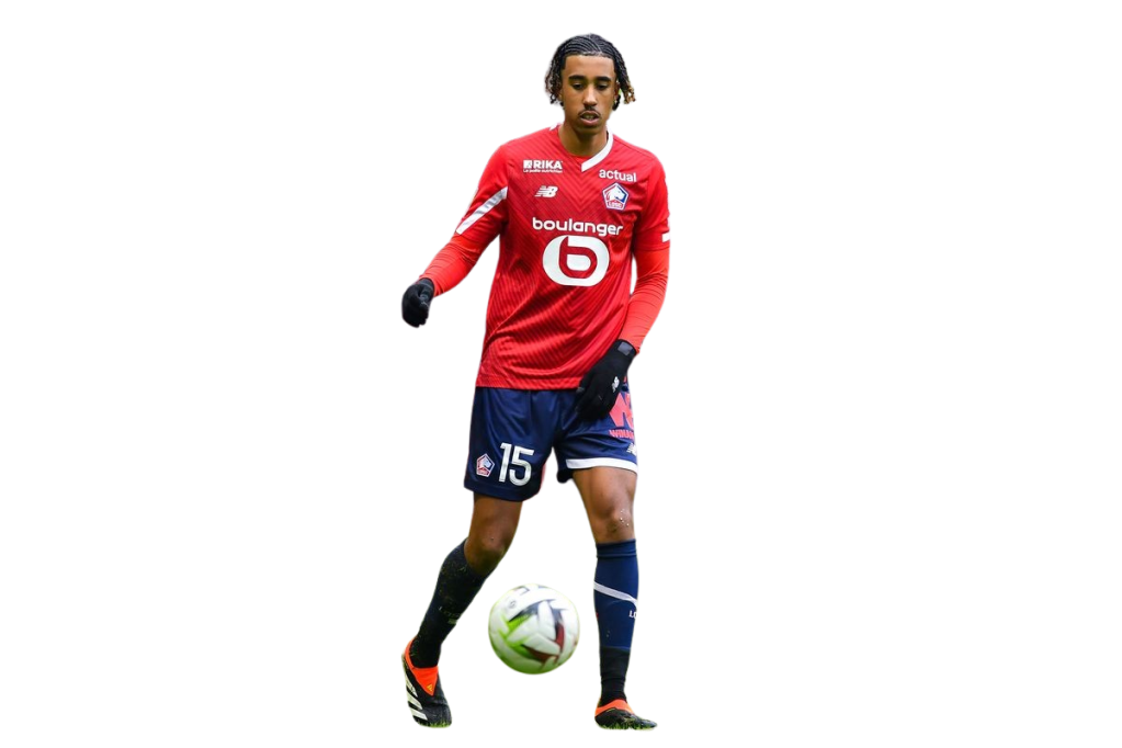 McDONALD'S: Yoro order is ready! - Guillaume on the Grass