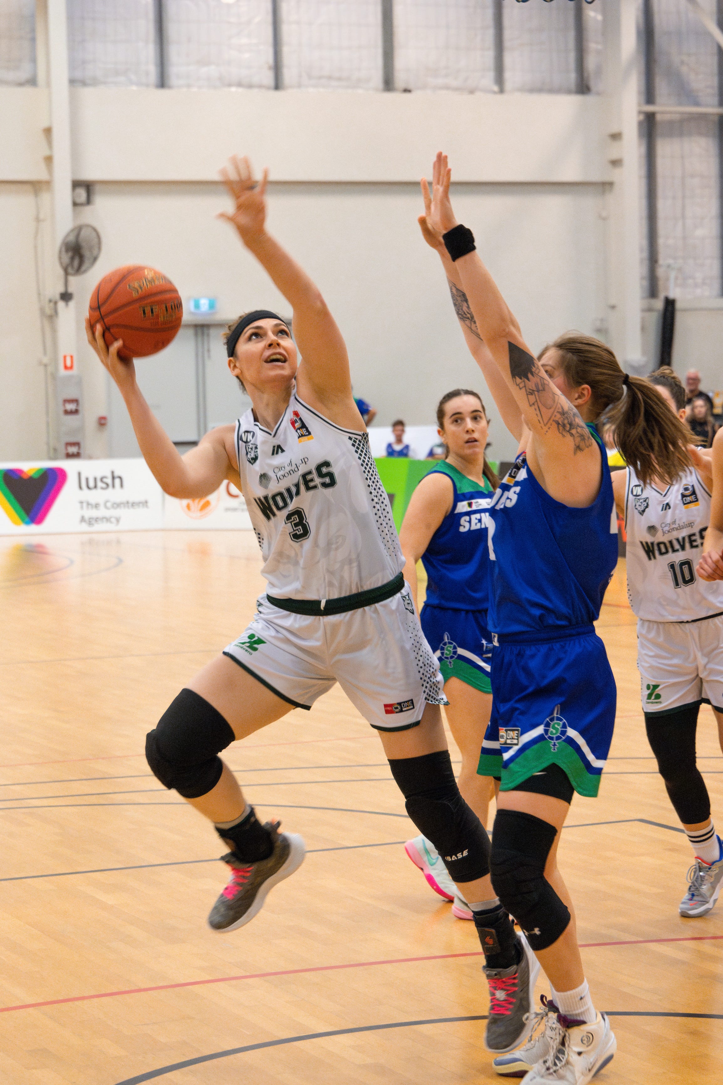 Faithful Wolf: Teige Morrell taking aim at a return to the WNBL