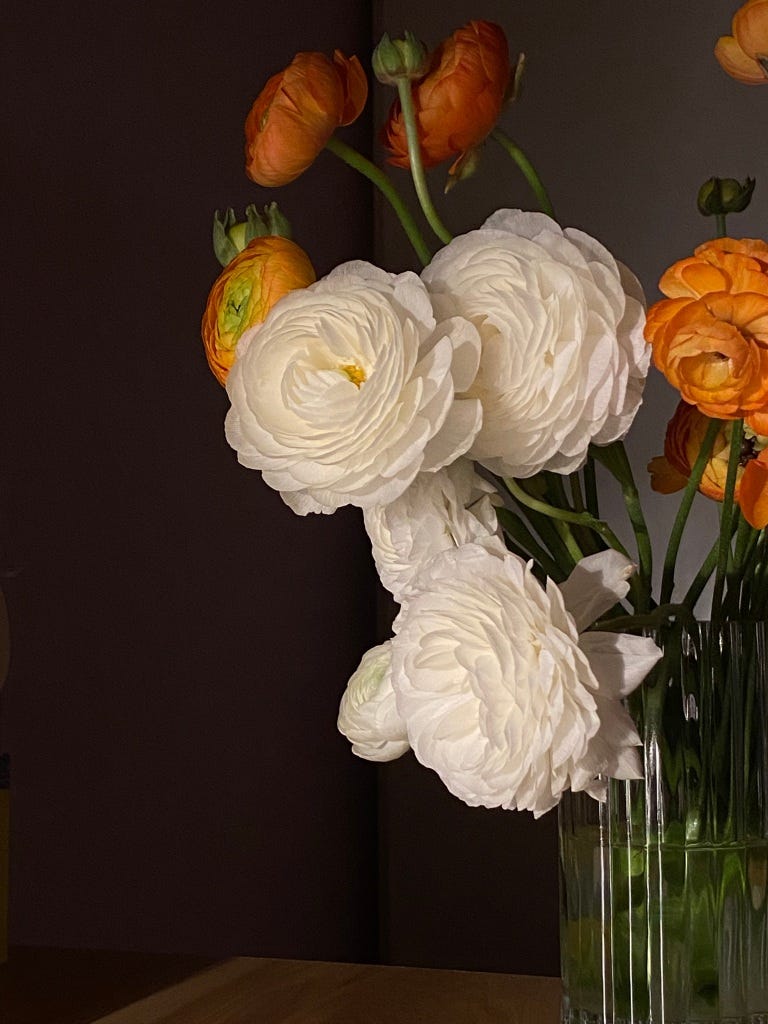 trong cơn bão, - Blue’s Substack