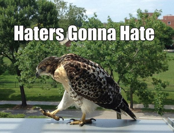 New Hampshire Lege Tells Kids To Shove Their 'State Raptor' Bill Right ...