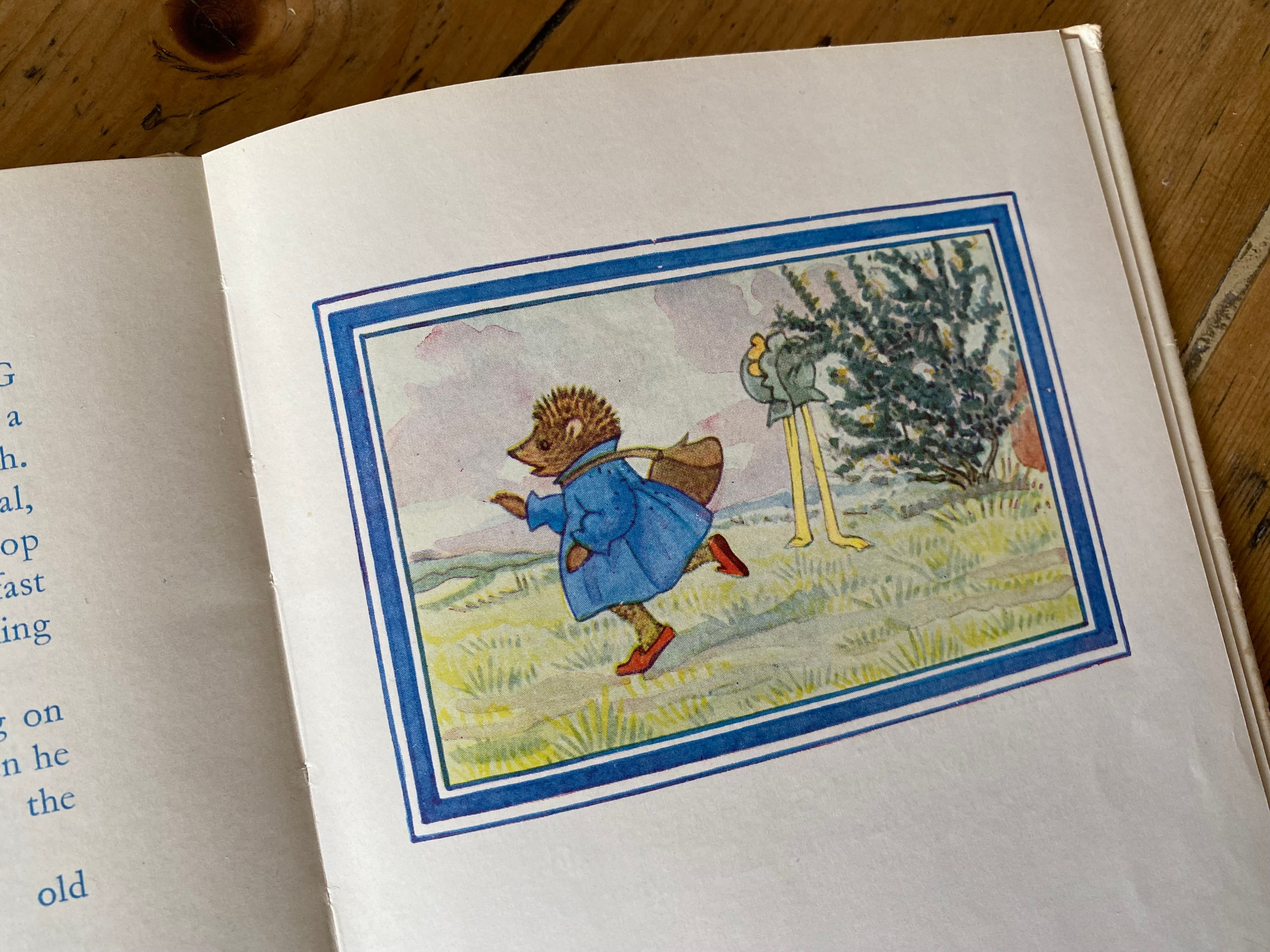 But A Wild Mother - by Imogen Ashwin - Bracken & Wrack