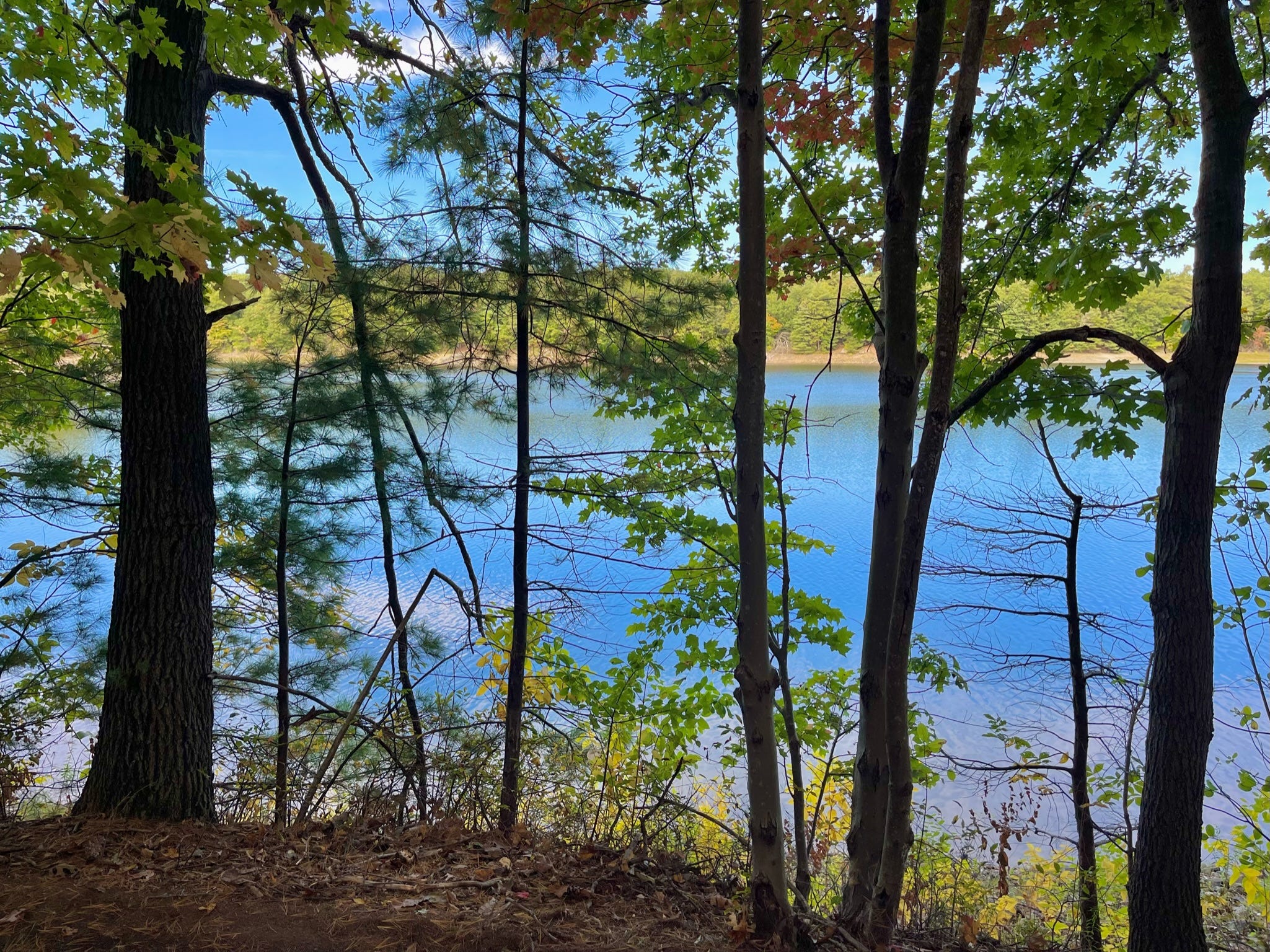 Daily Buzz | Town Finance Committee Votes on Official Funding ...