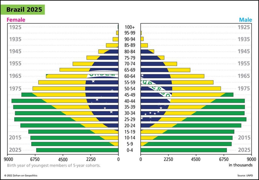 Country Primer: Brazil - Capital Flows