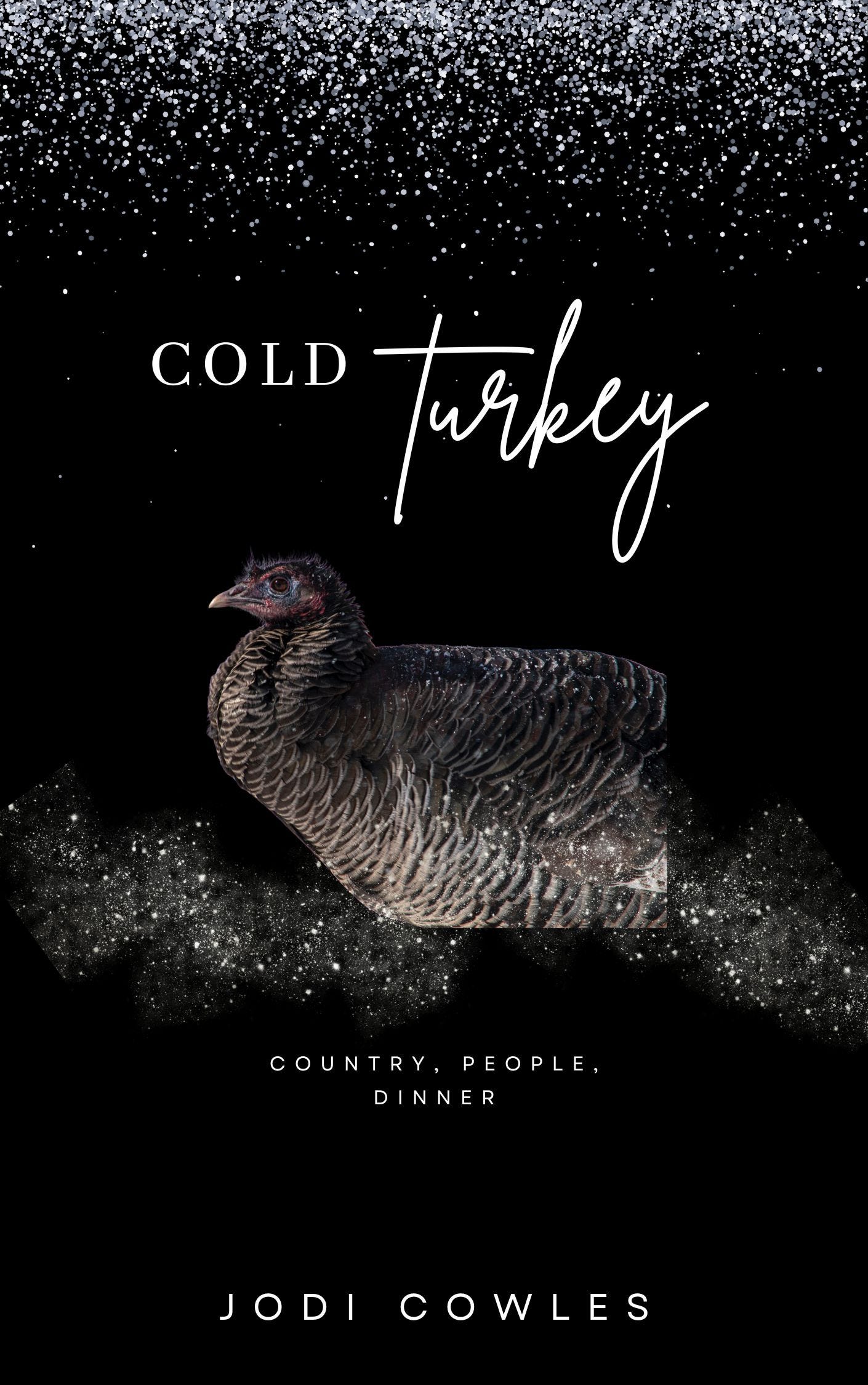 The Wait is Over: Cold Turkey Cover Reveal - by Jodi Cowles