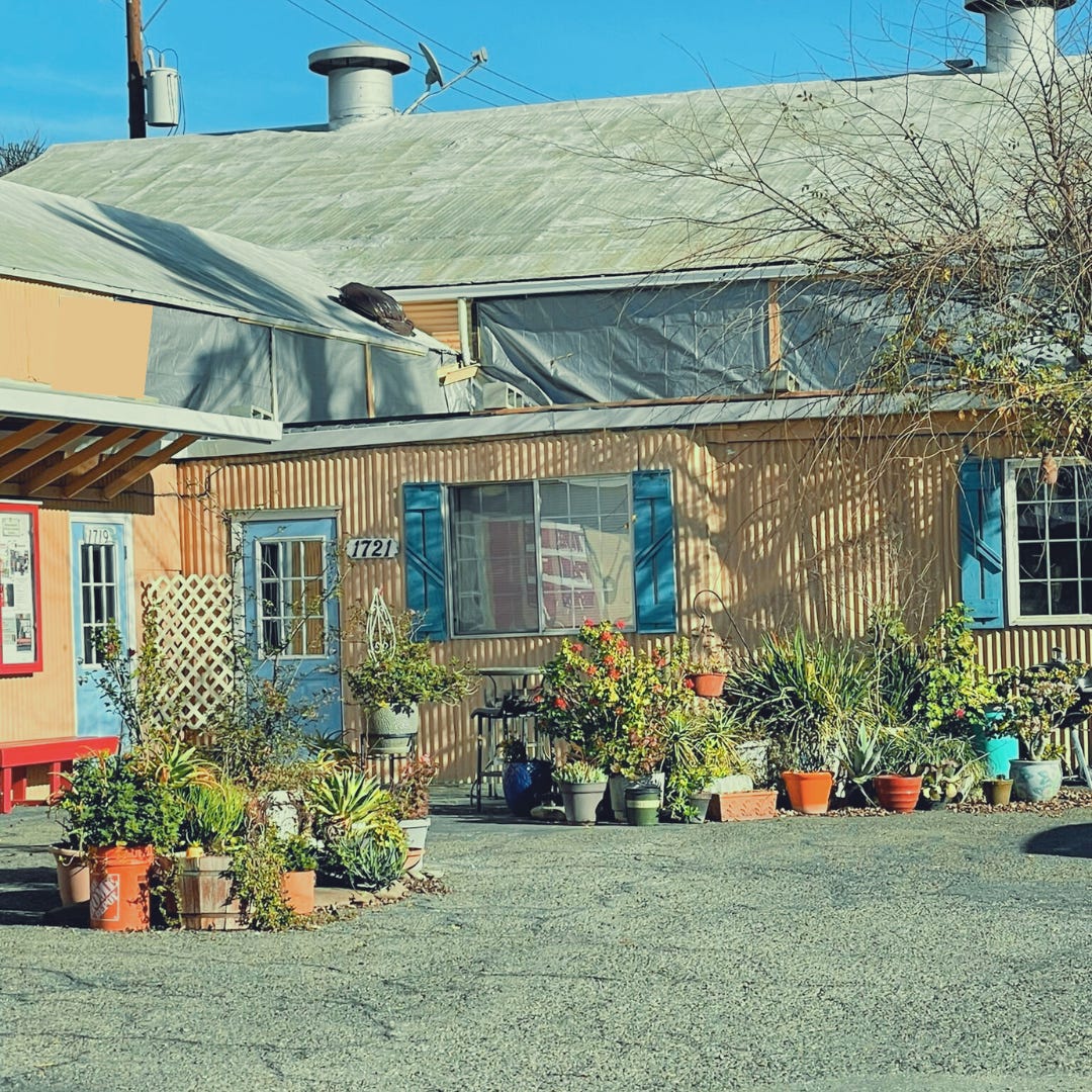 The Accidental Novel - by Holly Holt - Story Tending