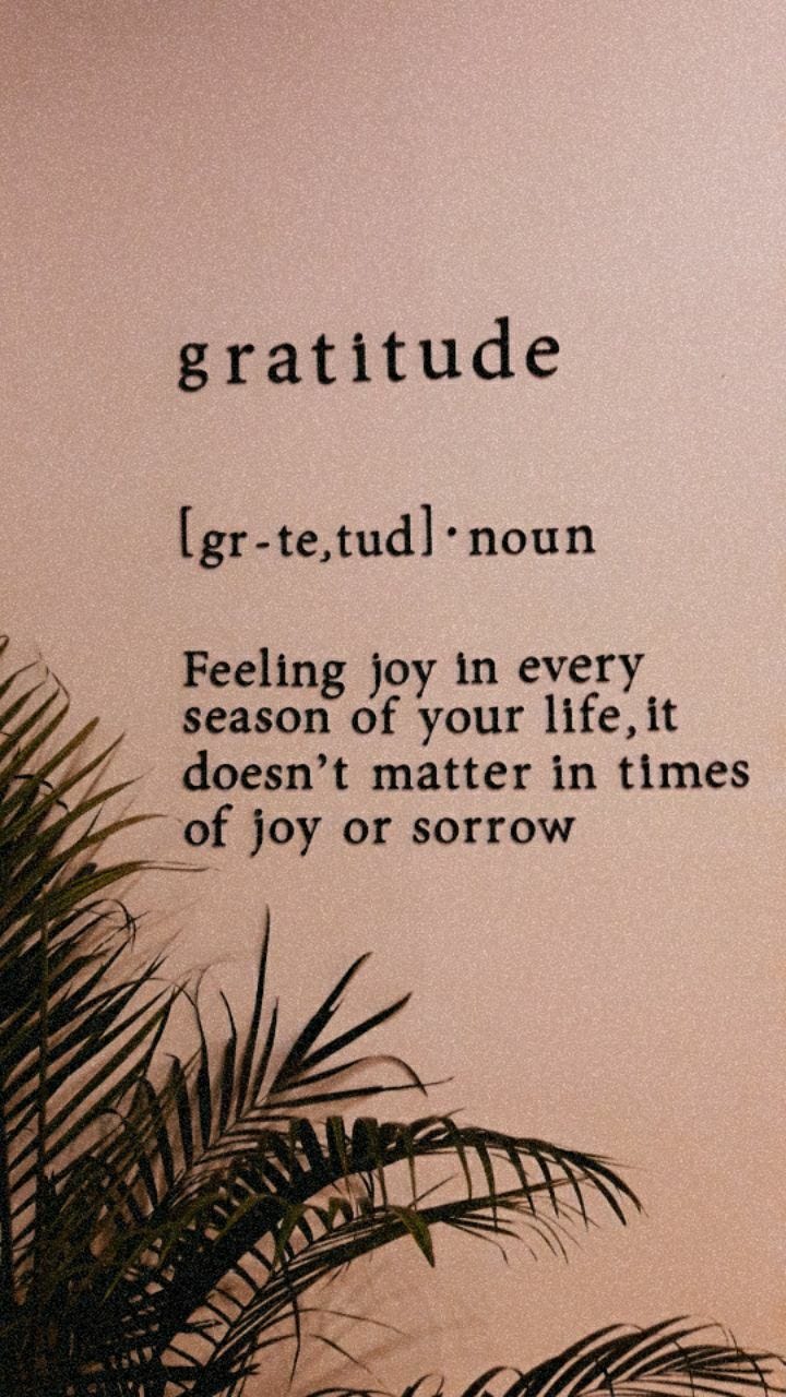 GRATITUDE.🌹 - by Babalola Faith - Faith’s Substack