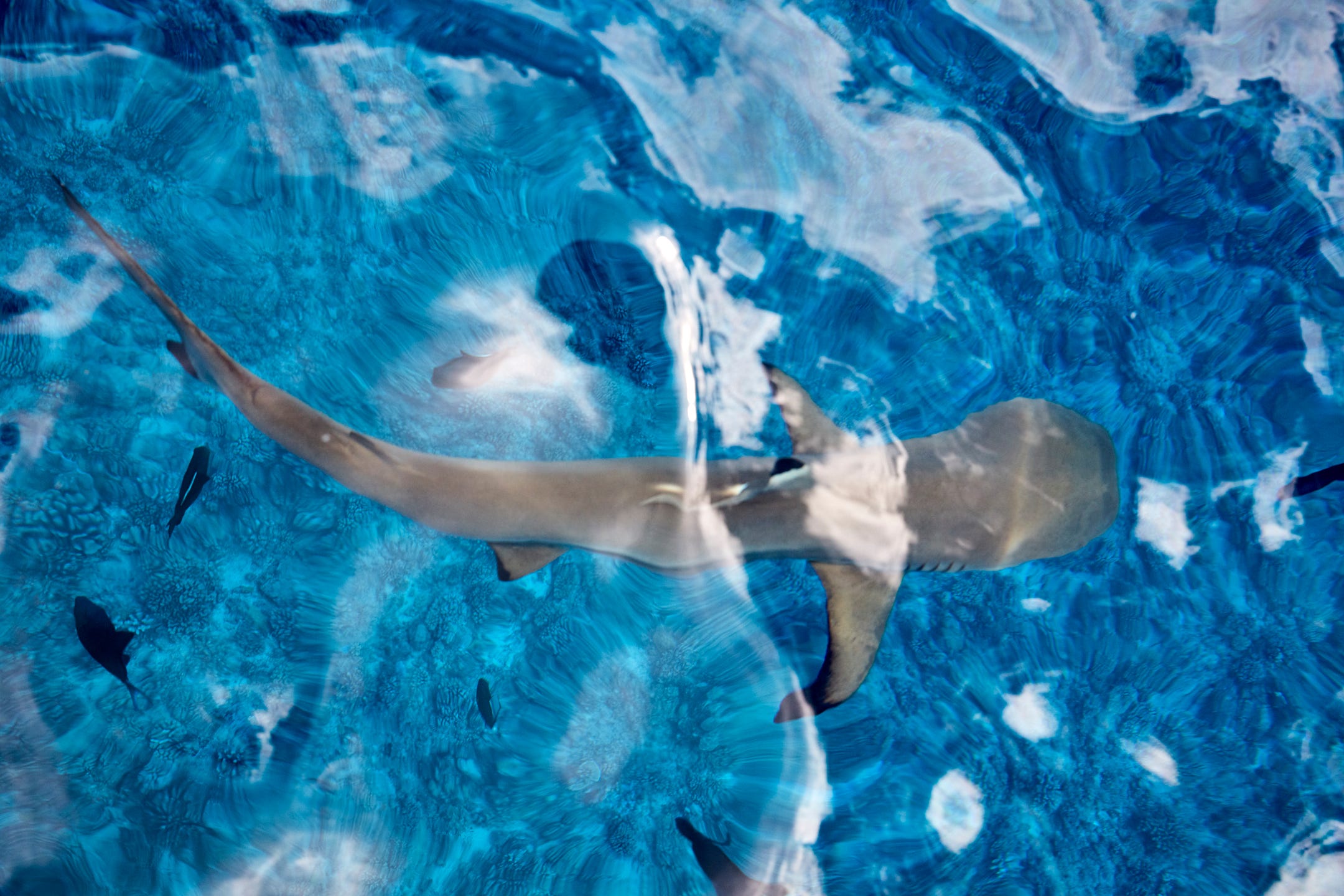 2023 Has Left The Building - by Jonathan Pozniak