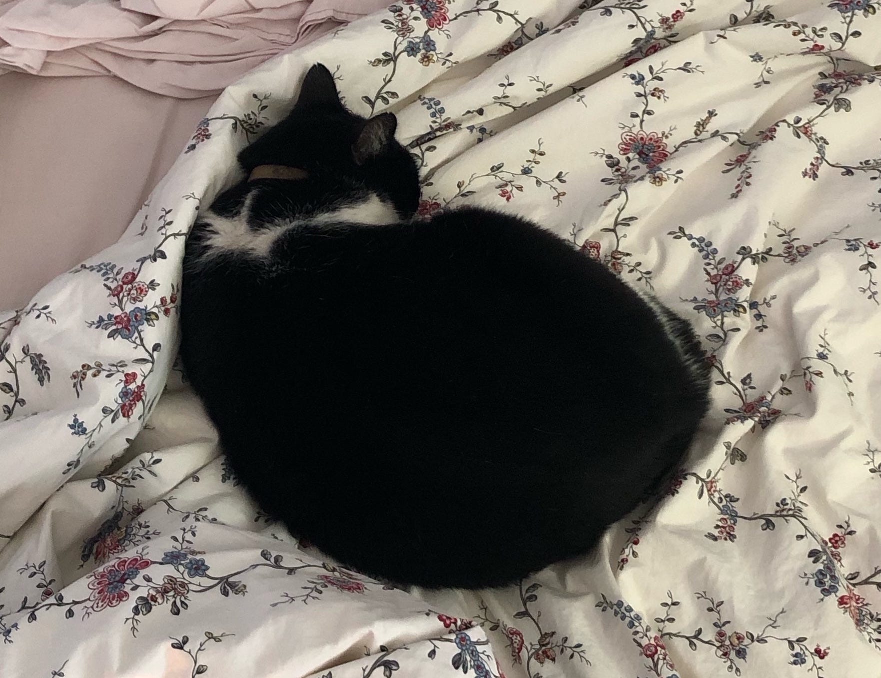 Nail polish on the bed! - by Regan Foote - With Love