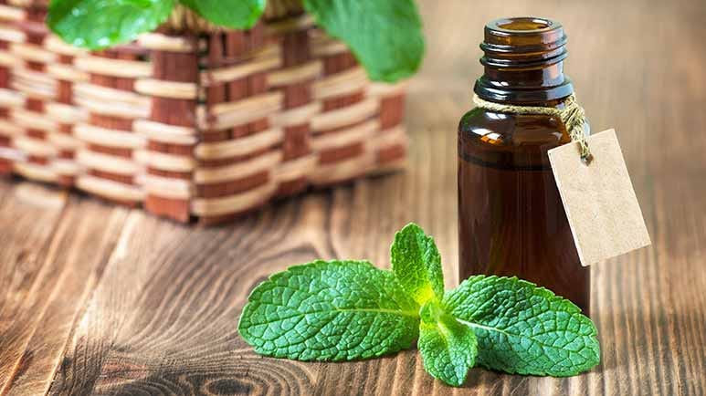 Can Inhaling Menthol Help Your Brain?