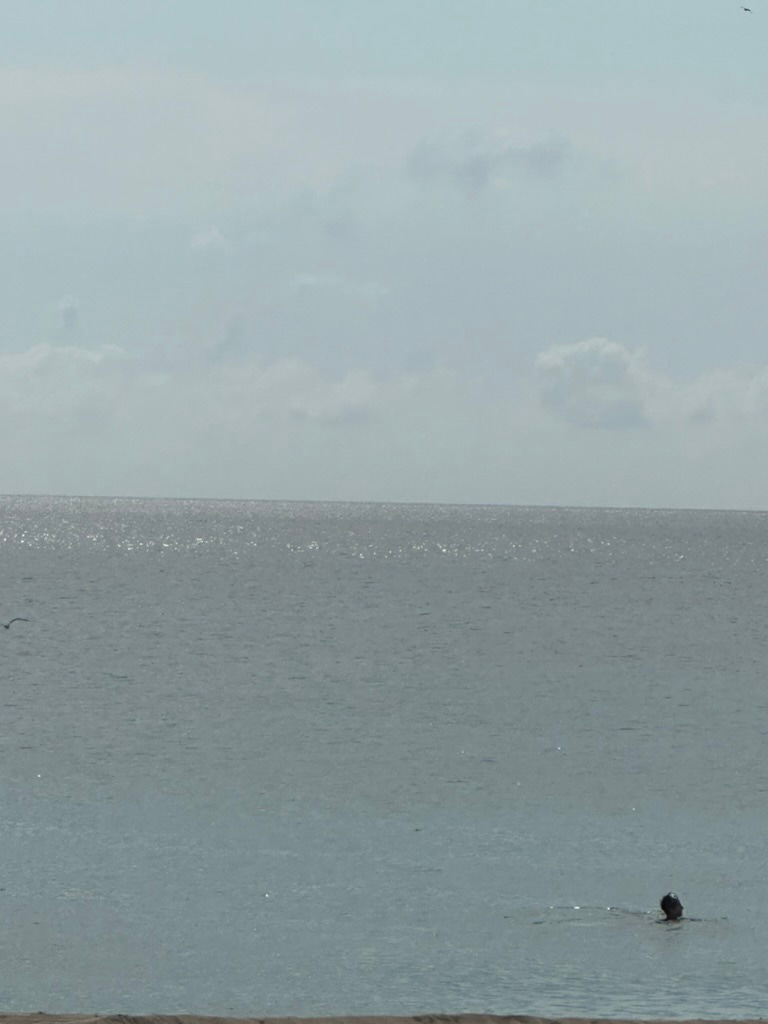 How To Create A Visual Theme - by Shlomi Ron