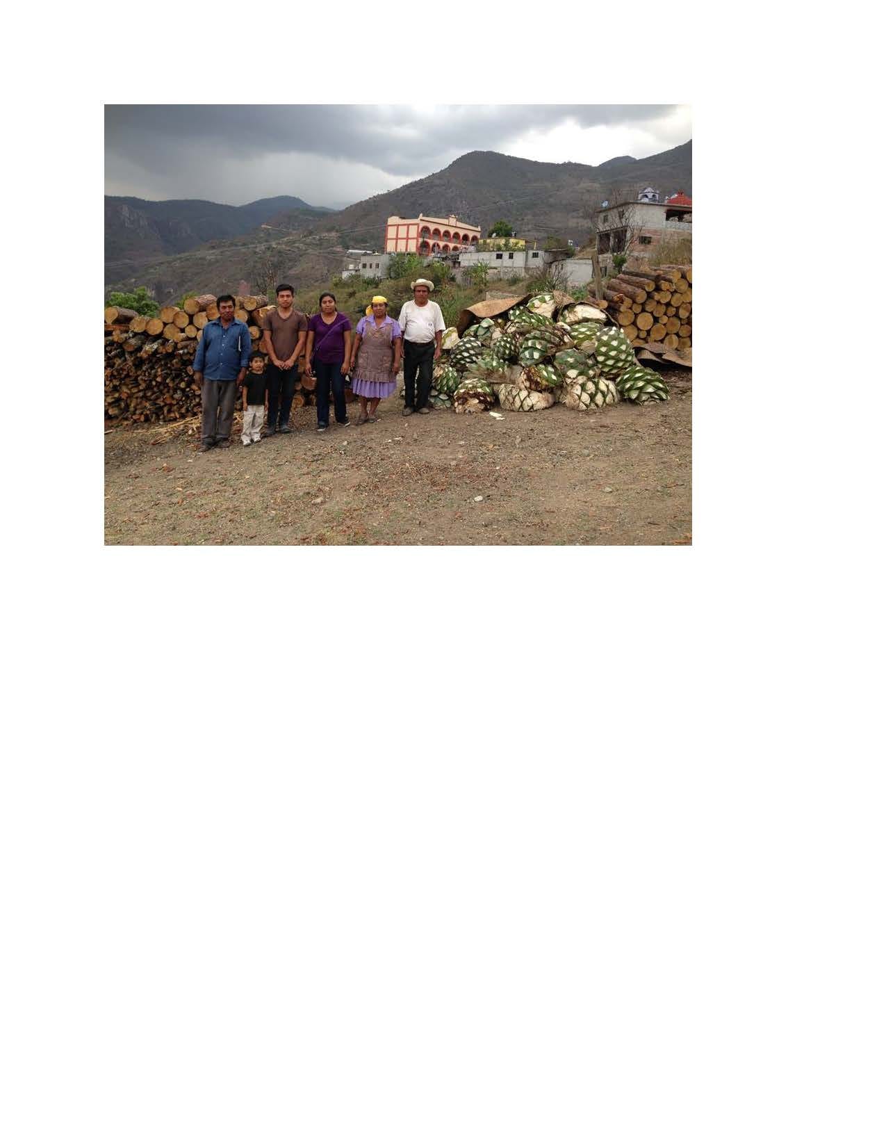 The Quintet of Maguey Spirits (Part II) - by warren bratter