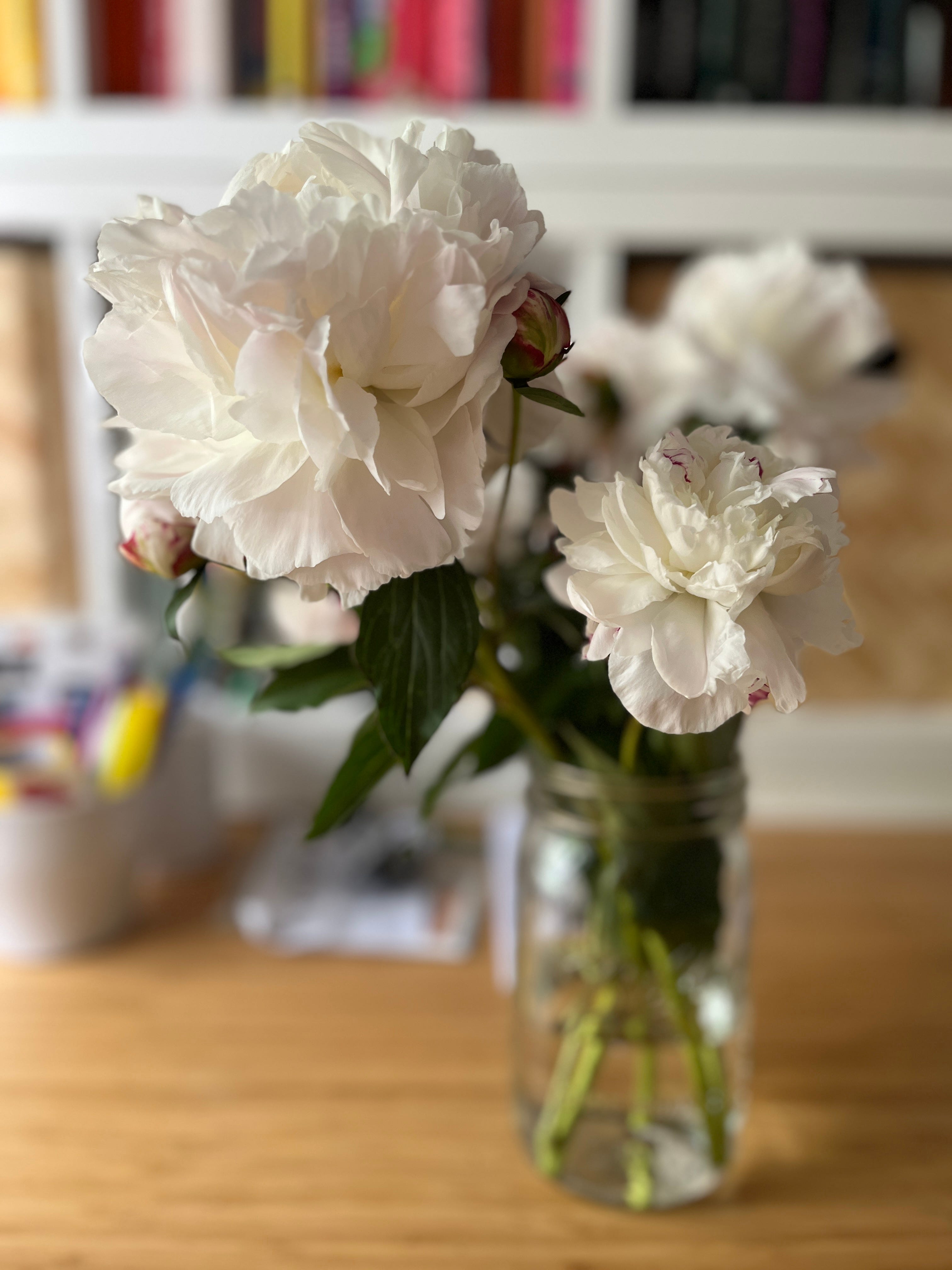 On the small good things - by Kate Seward - Joy Machine