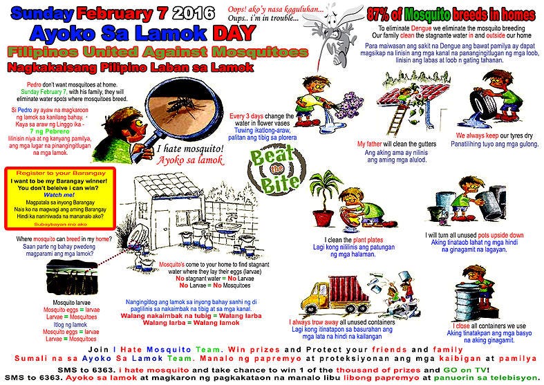 Ayoko sa Lamok: Filipino youth’s battle against dengue fever