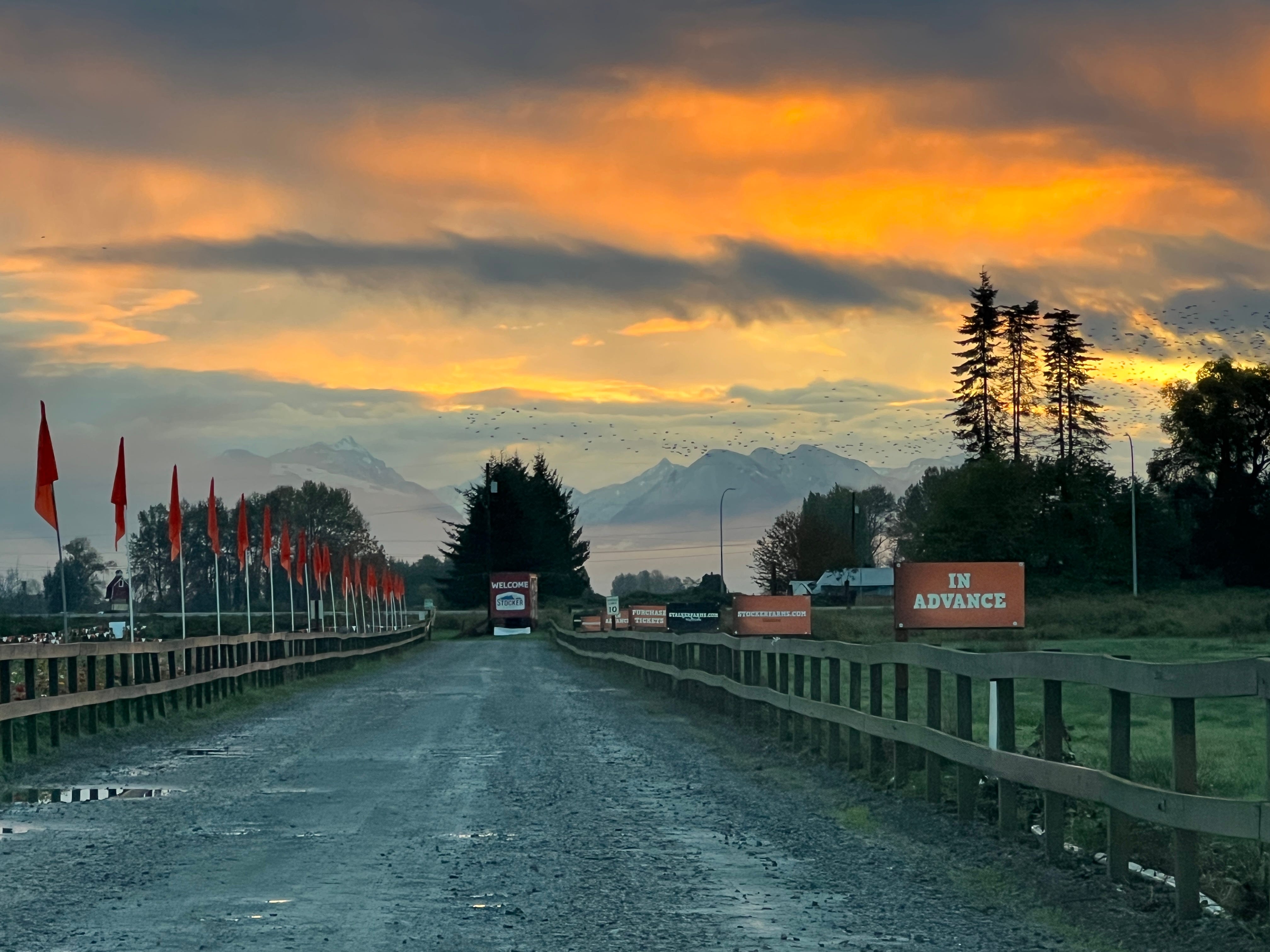 Retirement: Freedom or Free-Fall? - by Tom Pendergast