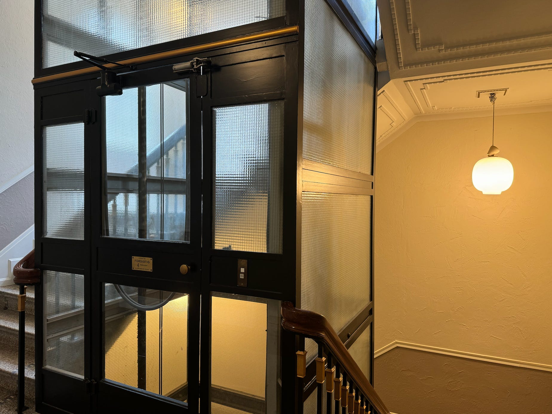 The Danish IQ Test, Fifth in a Series - by Meg Fischer