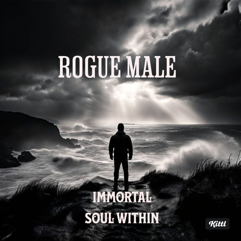 Michael O'Deira - Rogue Male | Substack