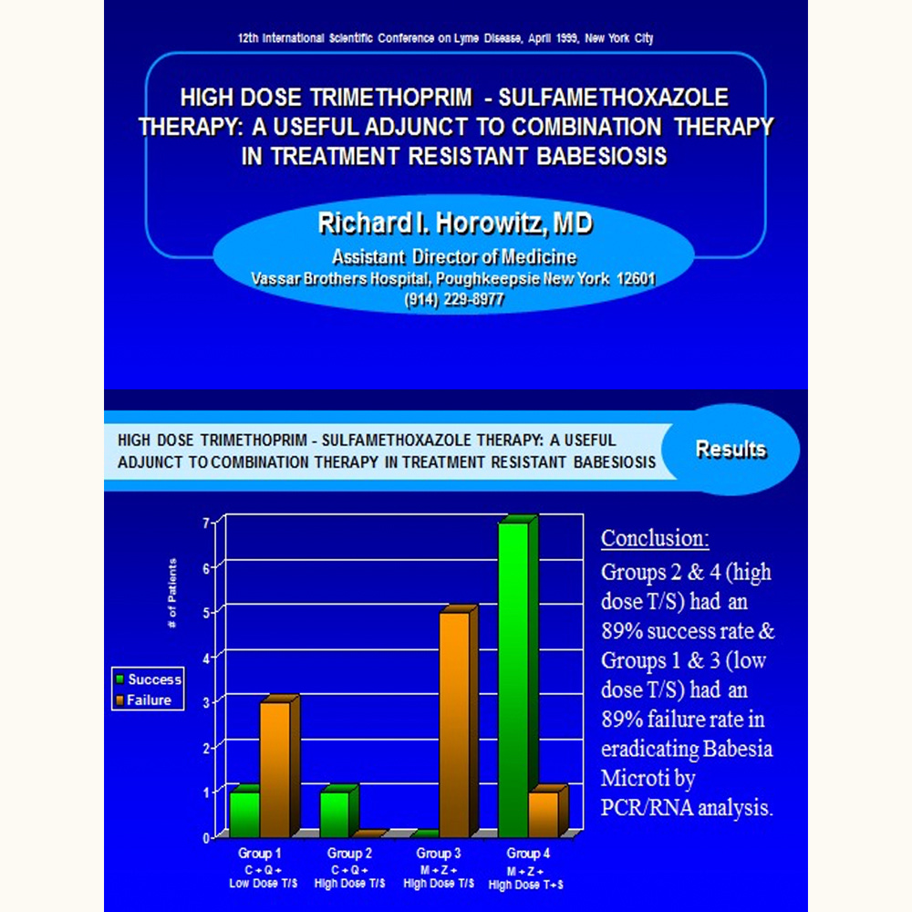 Babesia – A Long and Tortuous Medical Journey to Find Treatment Options ...