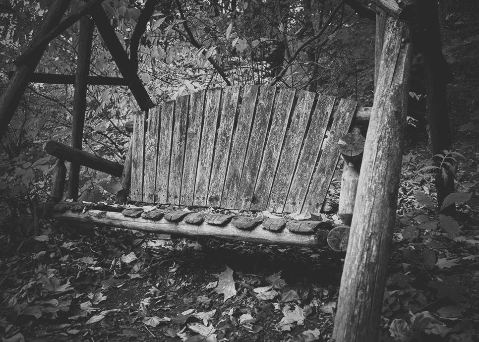 An Old, Broken Bench - Casual Teatime (with Casual-T)