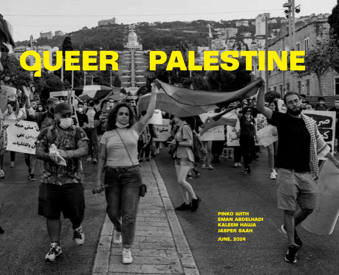 Exploring the 'Queer Palestine' Zine - by Kira Deshler