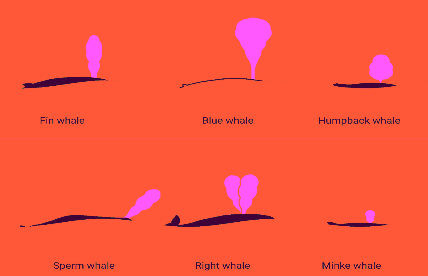 Breathing Holes - by Dusty Hope - dustyhope.substack.com