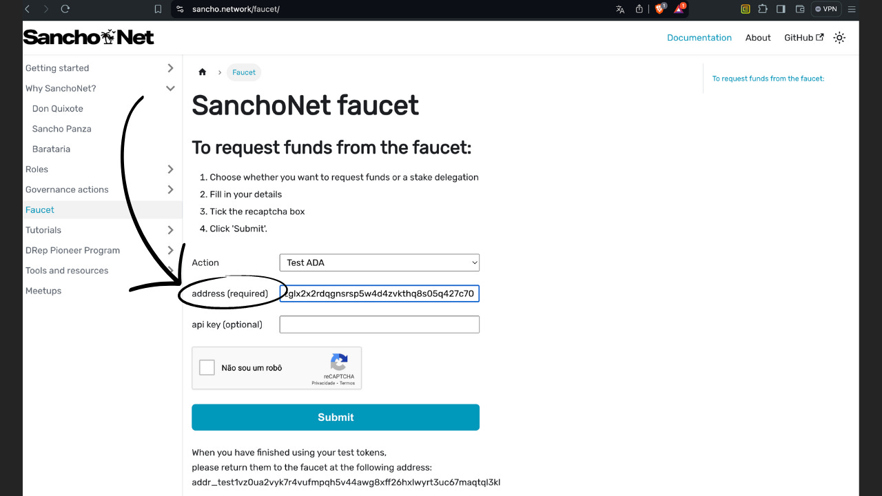 Como Acessar o SanchoNet GovTool - Tutorial Completo! 🚀