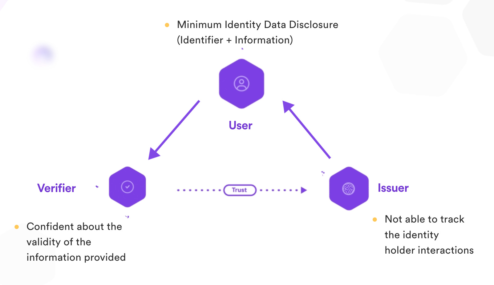 Polygon: Sweeping Global Brands Off Their Feet and Into Web3