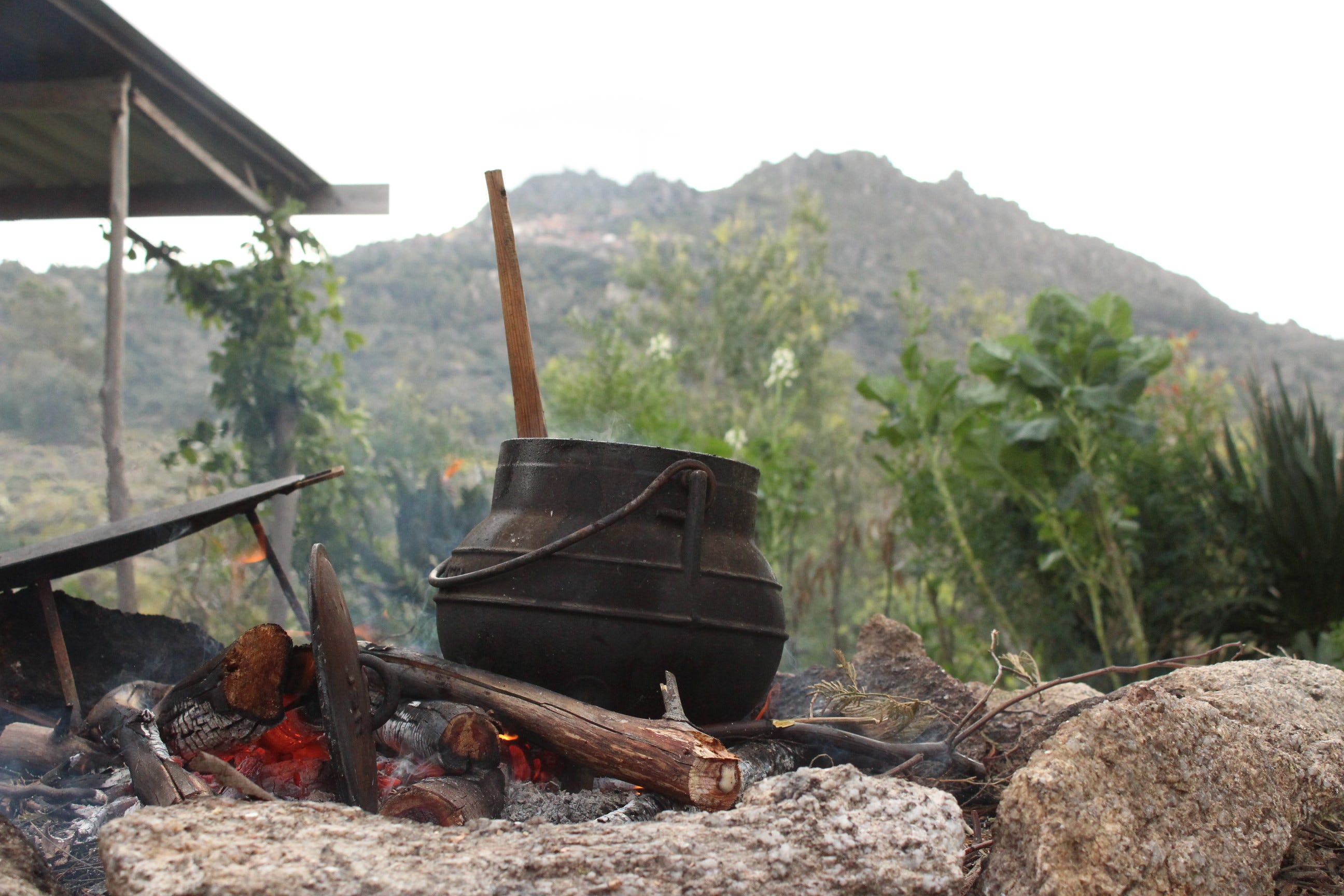 Campfire cooking off grid & a goat curry recipe