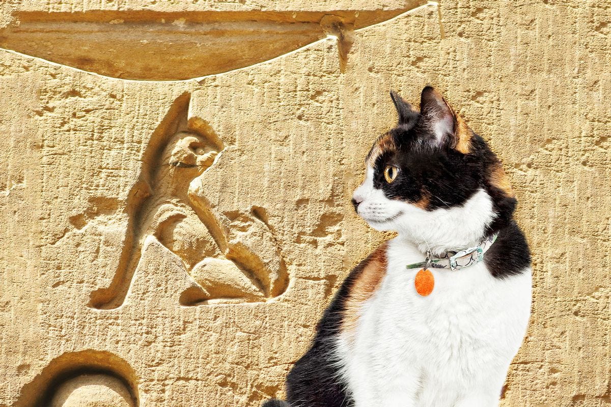 The History of Pets, Why, and How They Make Us Happy