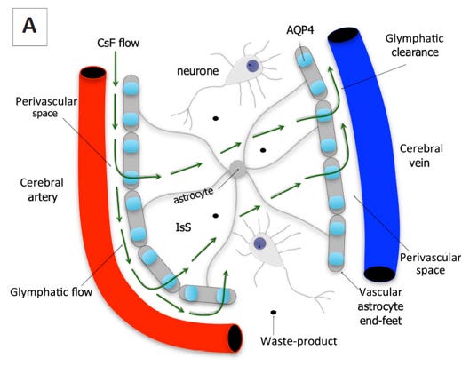 Transcranial Photobiomodulation to treat dementia and Alzheimer´s disease
