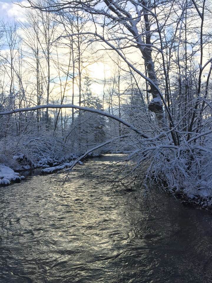 Winter Story - Story Carrier: Jane Clark's Substack