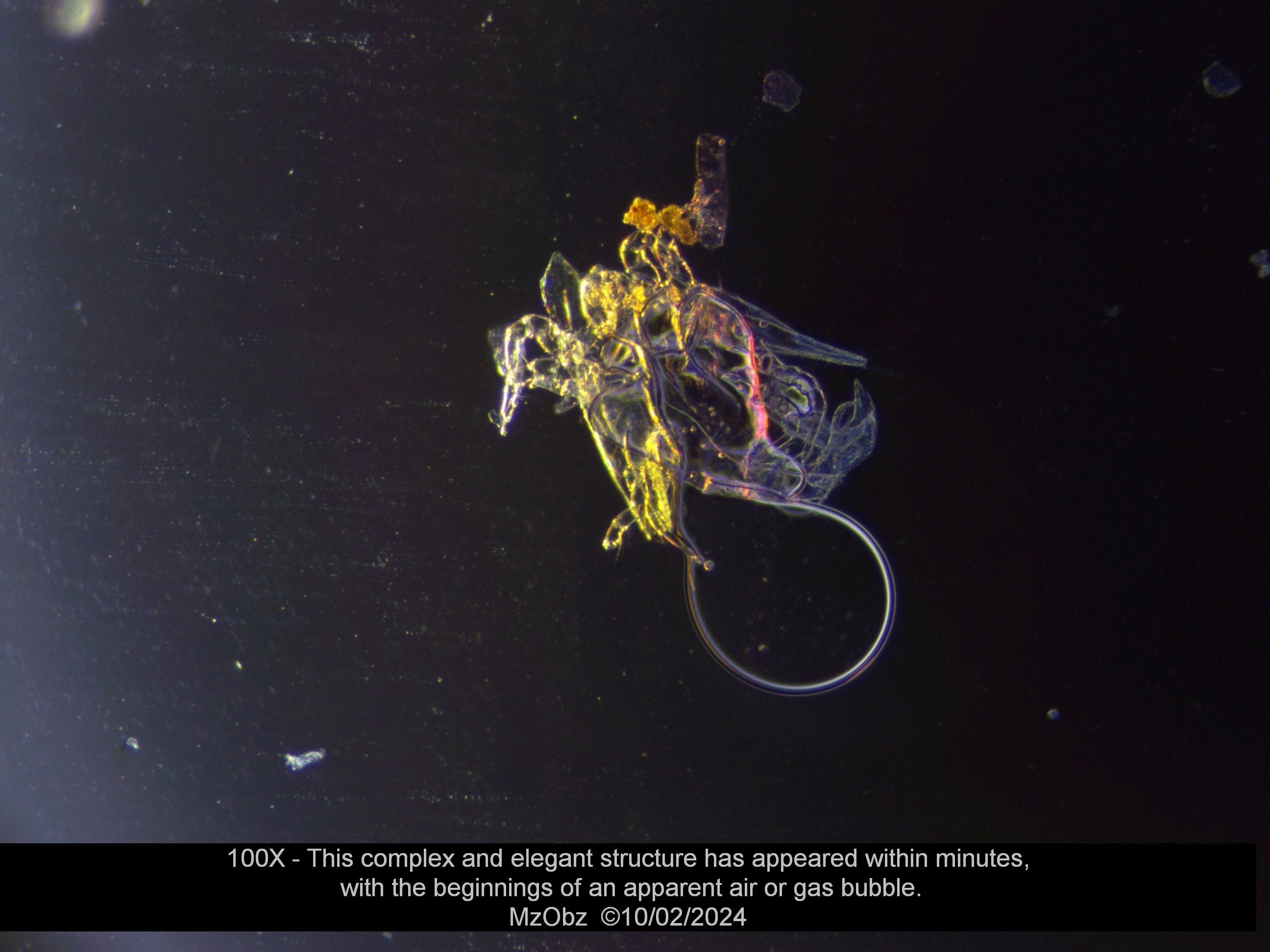 A “mitey” Insight - Mz: Obz