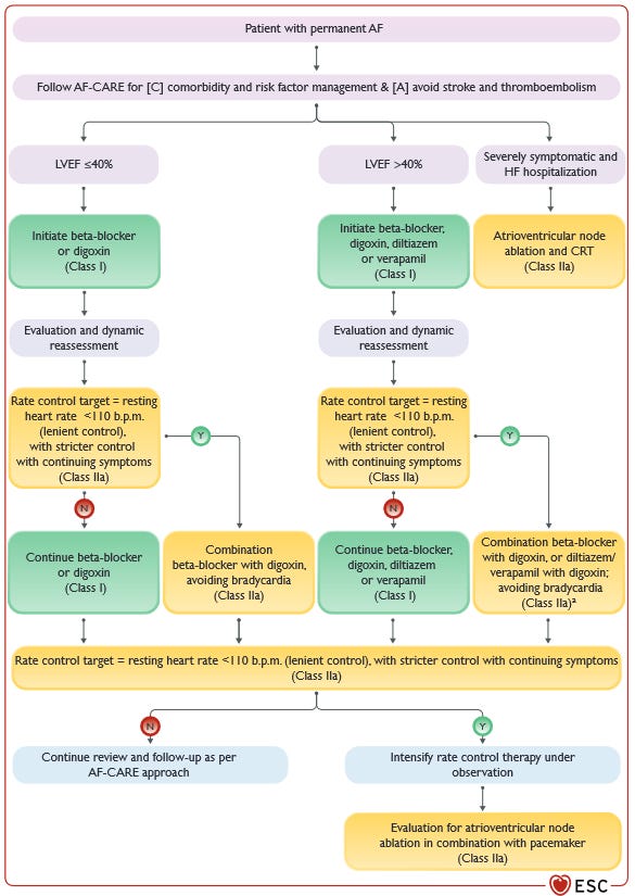 A diretriz de Fibrilação Atrial