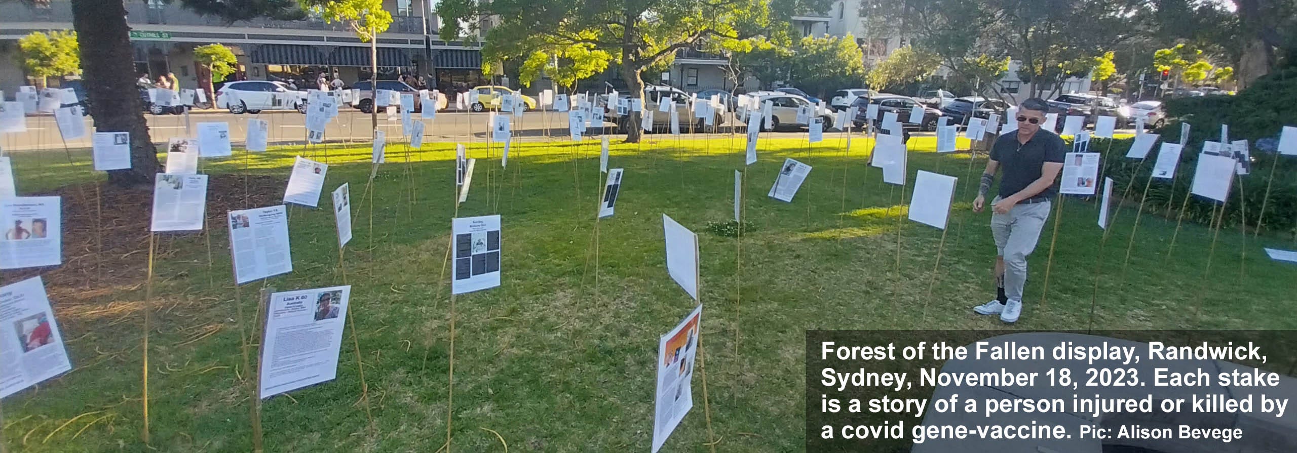 The power of silence - by Alison Bevege