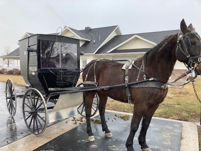 The Lot - Mary Swander’s Buggy Land