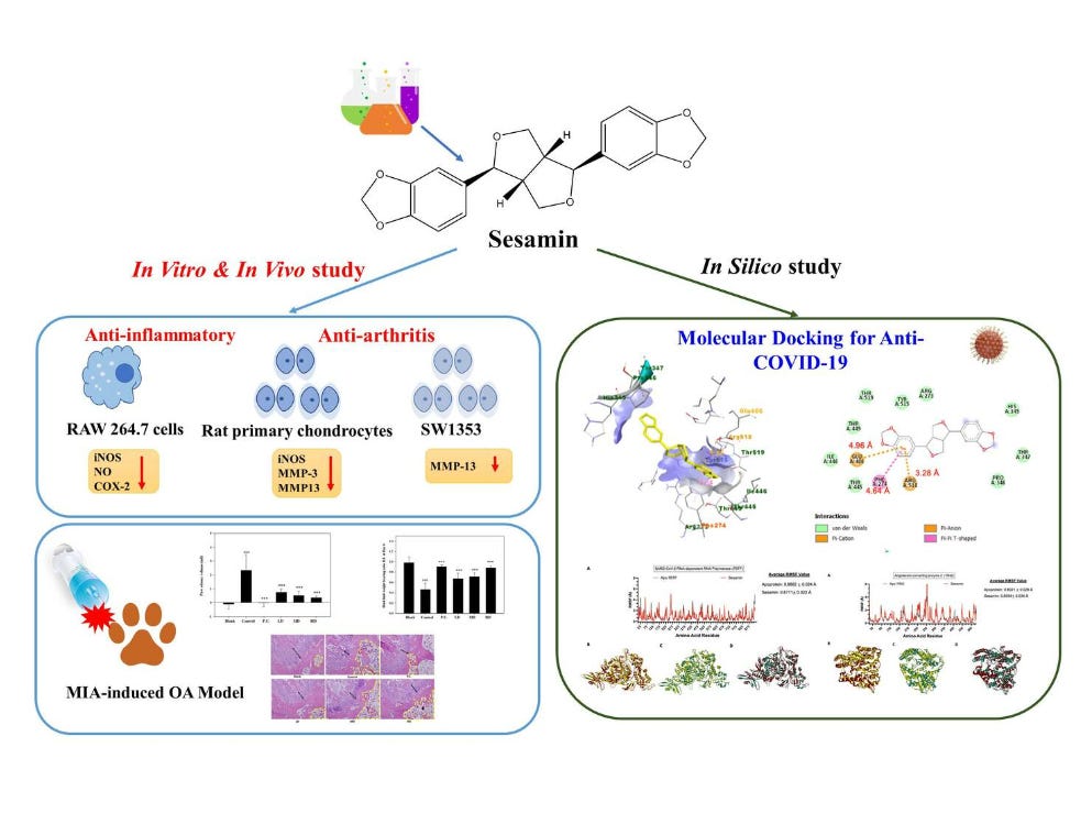 Friday Hope: Sesamin from Sesame Seeds