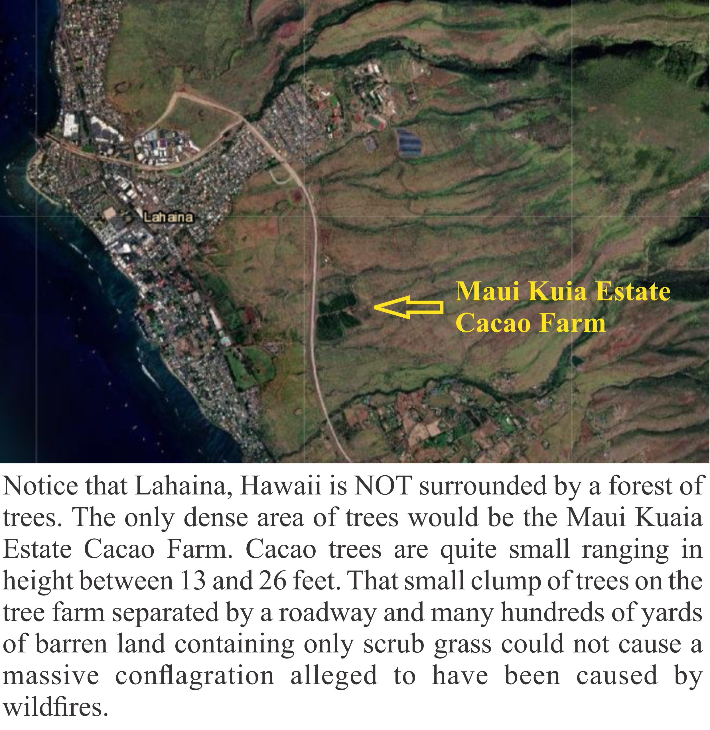 Lahaina Was Destroyed by a Directed Energy Weapon