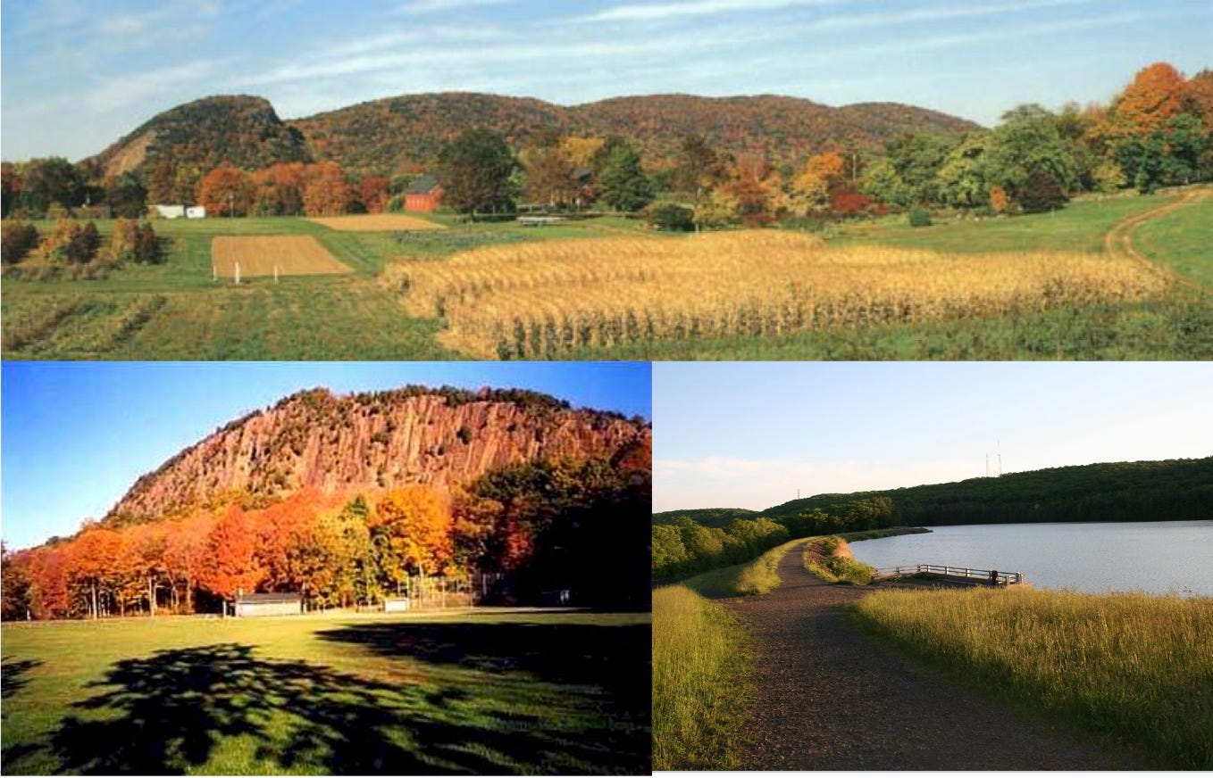 Special Edition: Independence Day in Hamden*