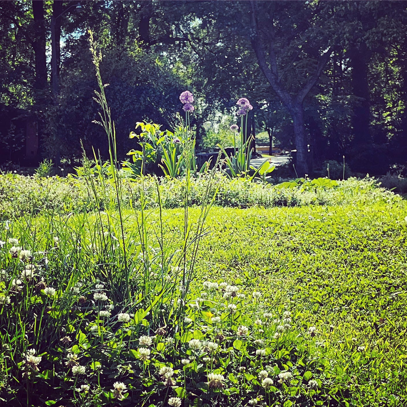 All Gardens Are Witches' Gardens - by Lex Orgera