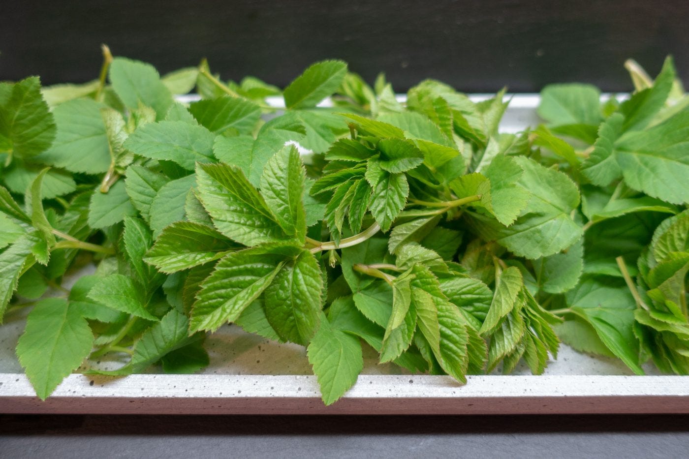 Day Seven: GROUND ELDER aka "Goutweed" or "Bishop's Weed" (not to be ...