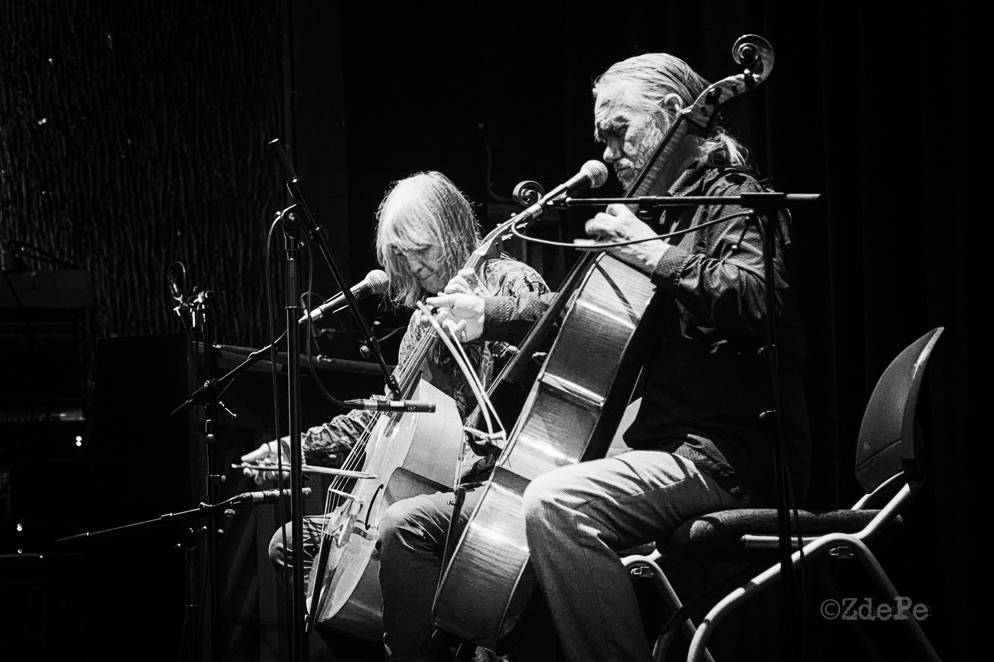 Offest Festival: Embracing and Celebrating the Melodies of the World