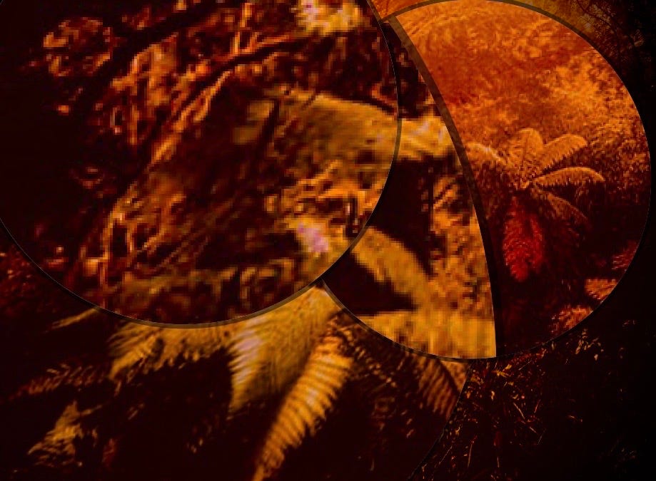 The jungle strange - C.K.Wilde’s Written words